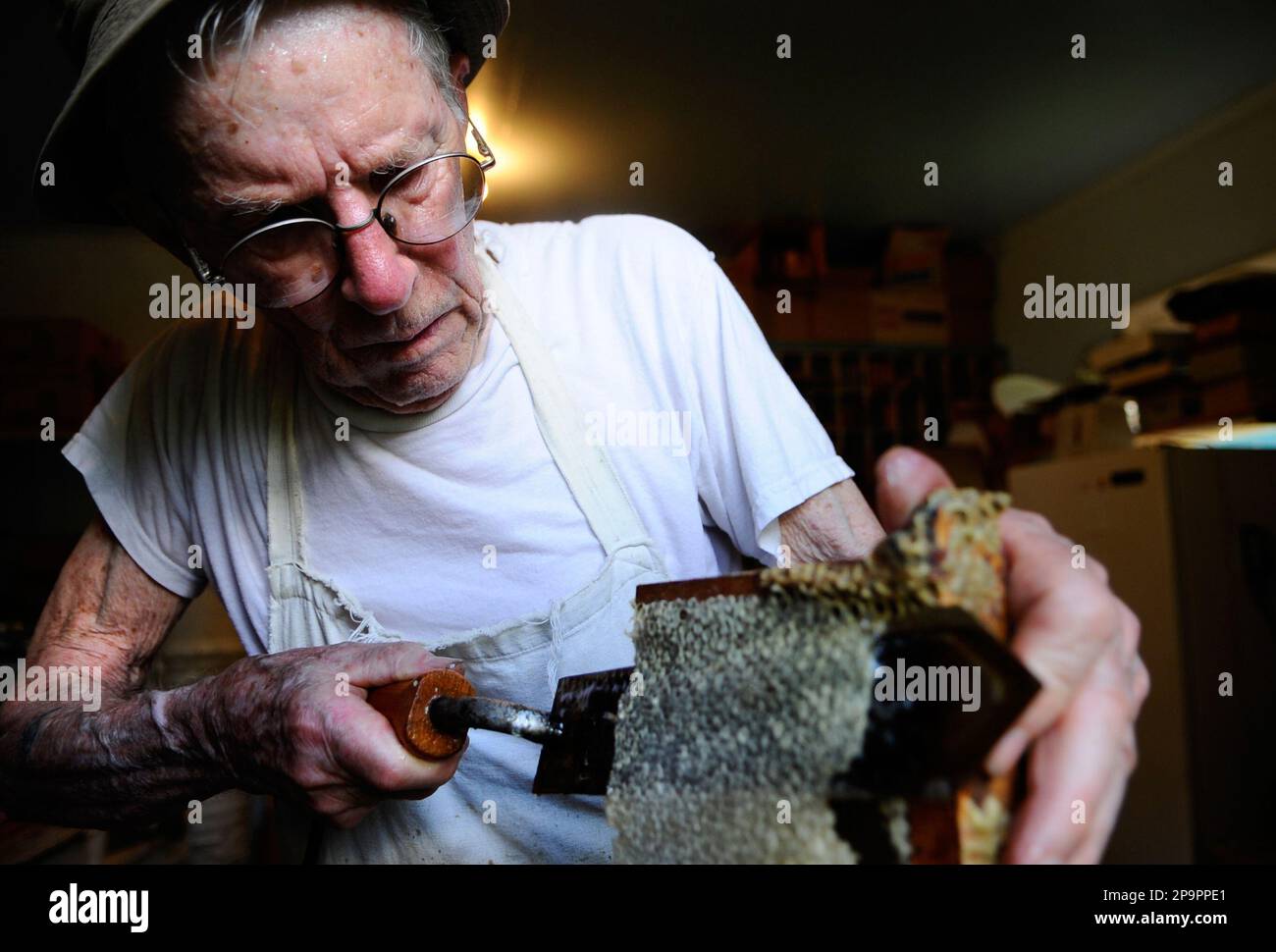 Beekeeper John D. Bacon removes cappings collected on a frame with a ...