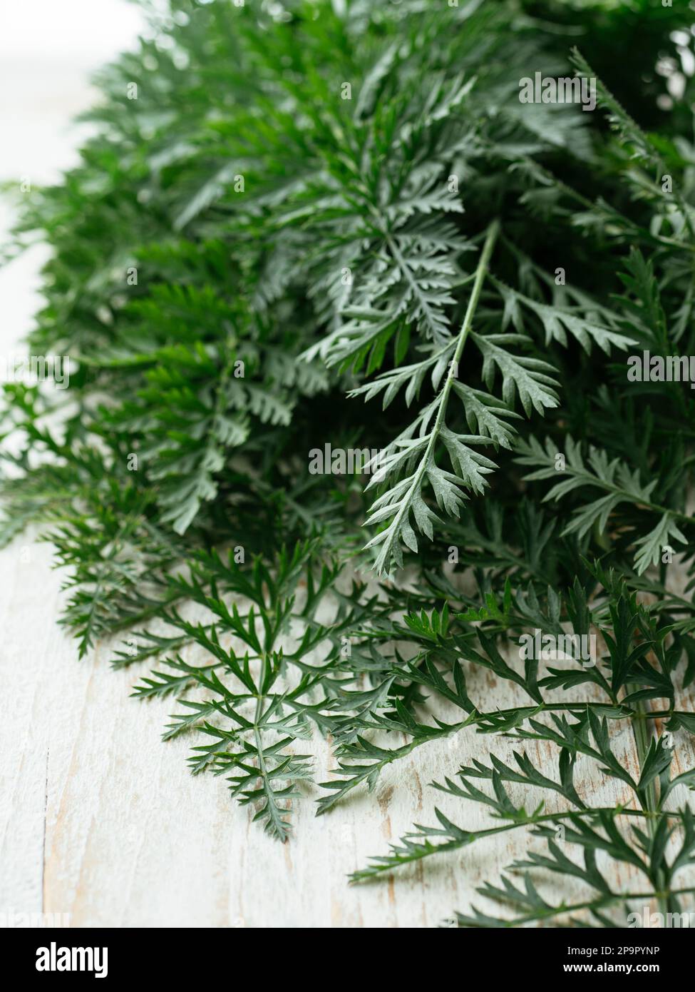 Carrot top greens as ingredient for cooking Stock Photo - Alamy