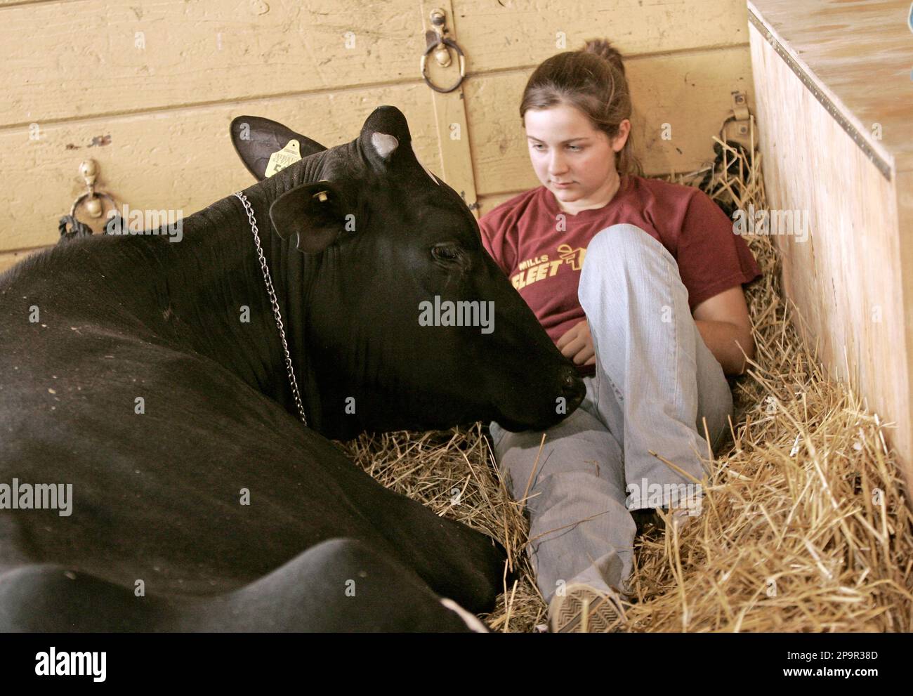 Meghan Connelly of Rochester, Minn., relaxes with her cow Cookie in the ...