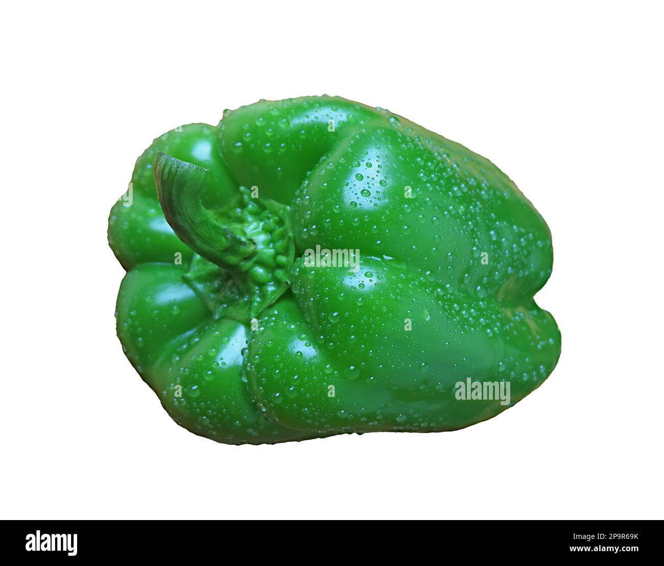 Fresh Green bell pepper with water droplets isolated on white backdrop ...