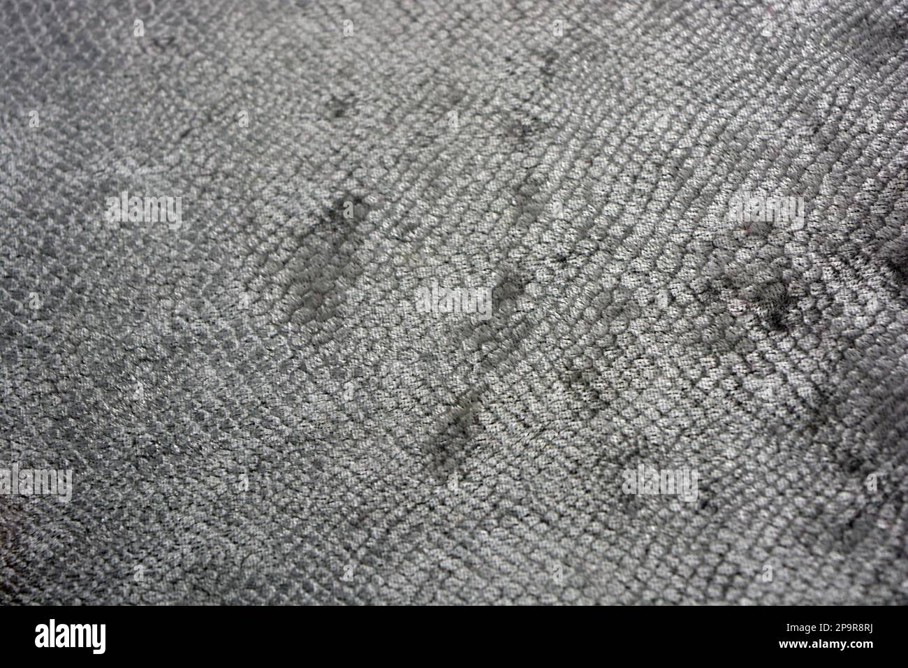 Gray fluffy velvet fabric with an interesting and intriguing pattern in ...