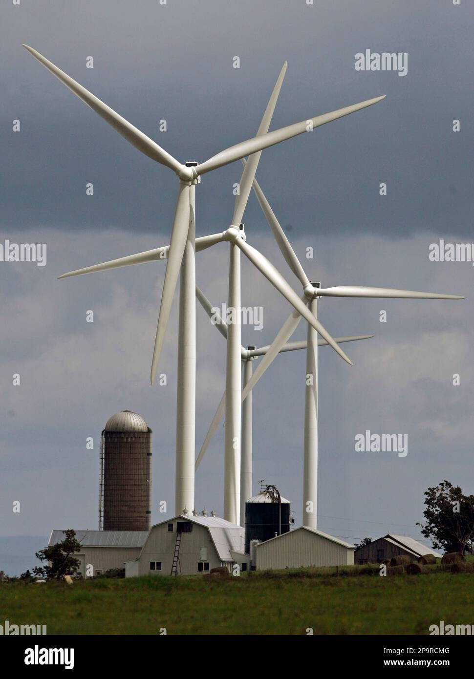 Wind turbines from the Maple Ridge Wind Farm tower over a farm in ...
