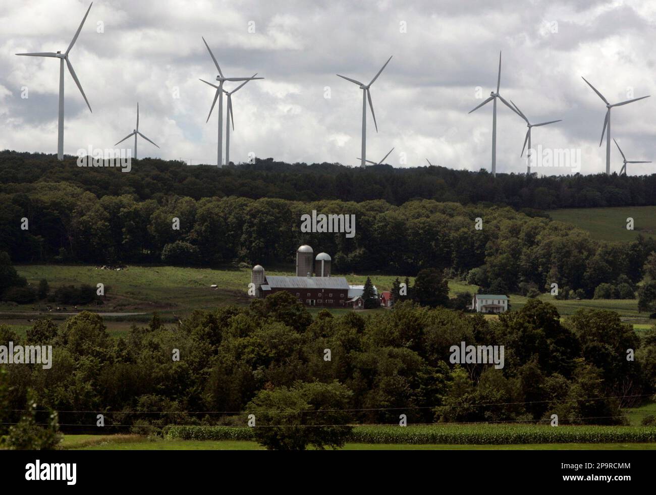 Wind turbines from the Maple Ridge Wind Farm tower over a farm in ...