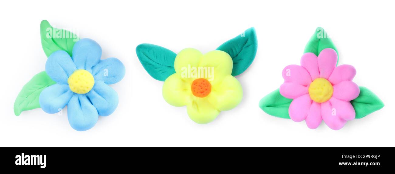Different flowers with leaves made from playdough on white background ...