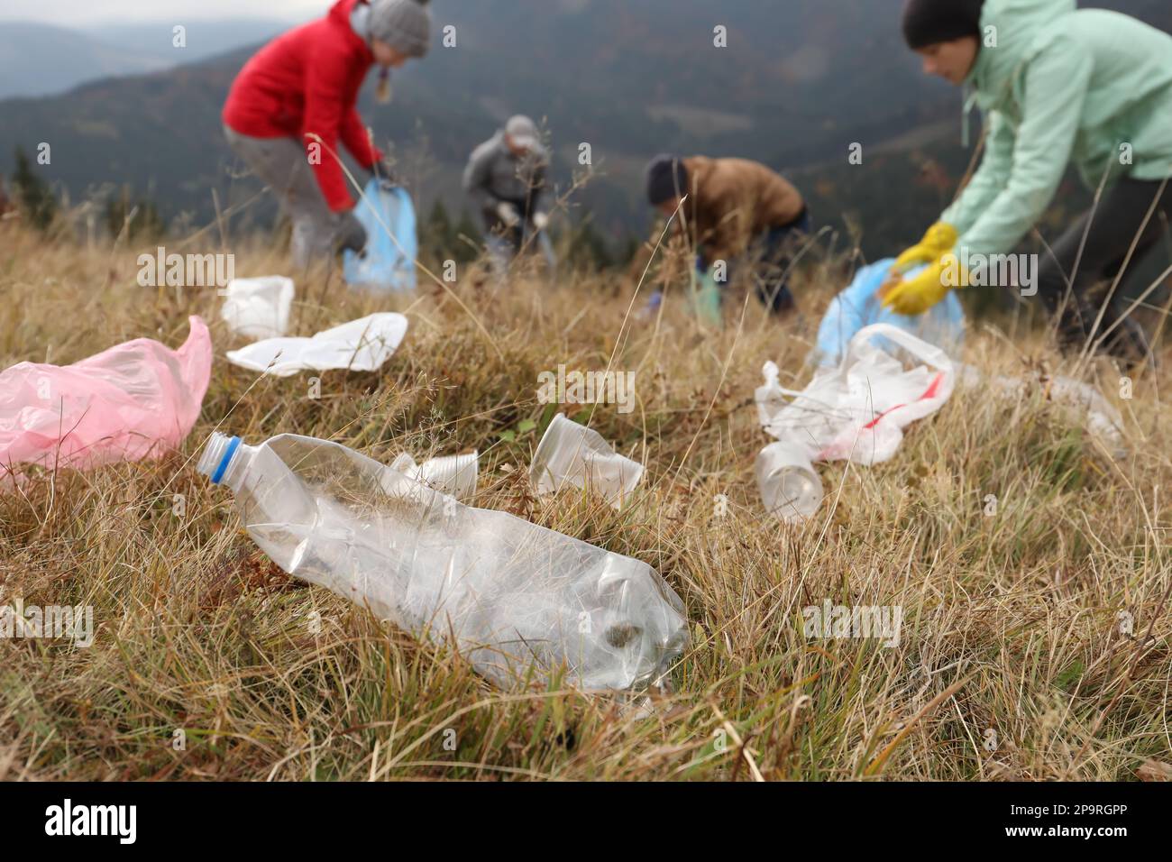 People collecting garbage in nature, focus on plastic trash Stock Photo ...