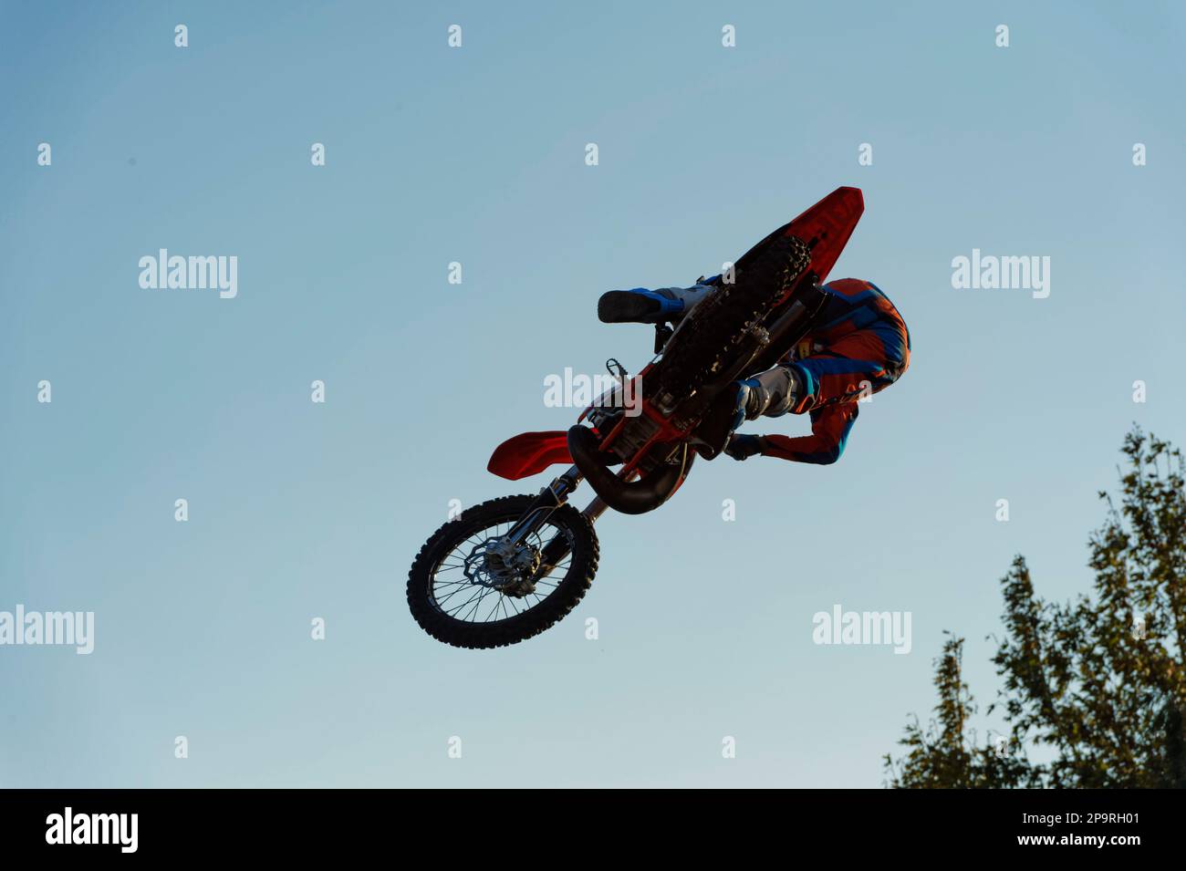 Motocross MX Freestyle jump at tree tops level Stock Photo - Alamy