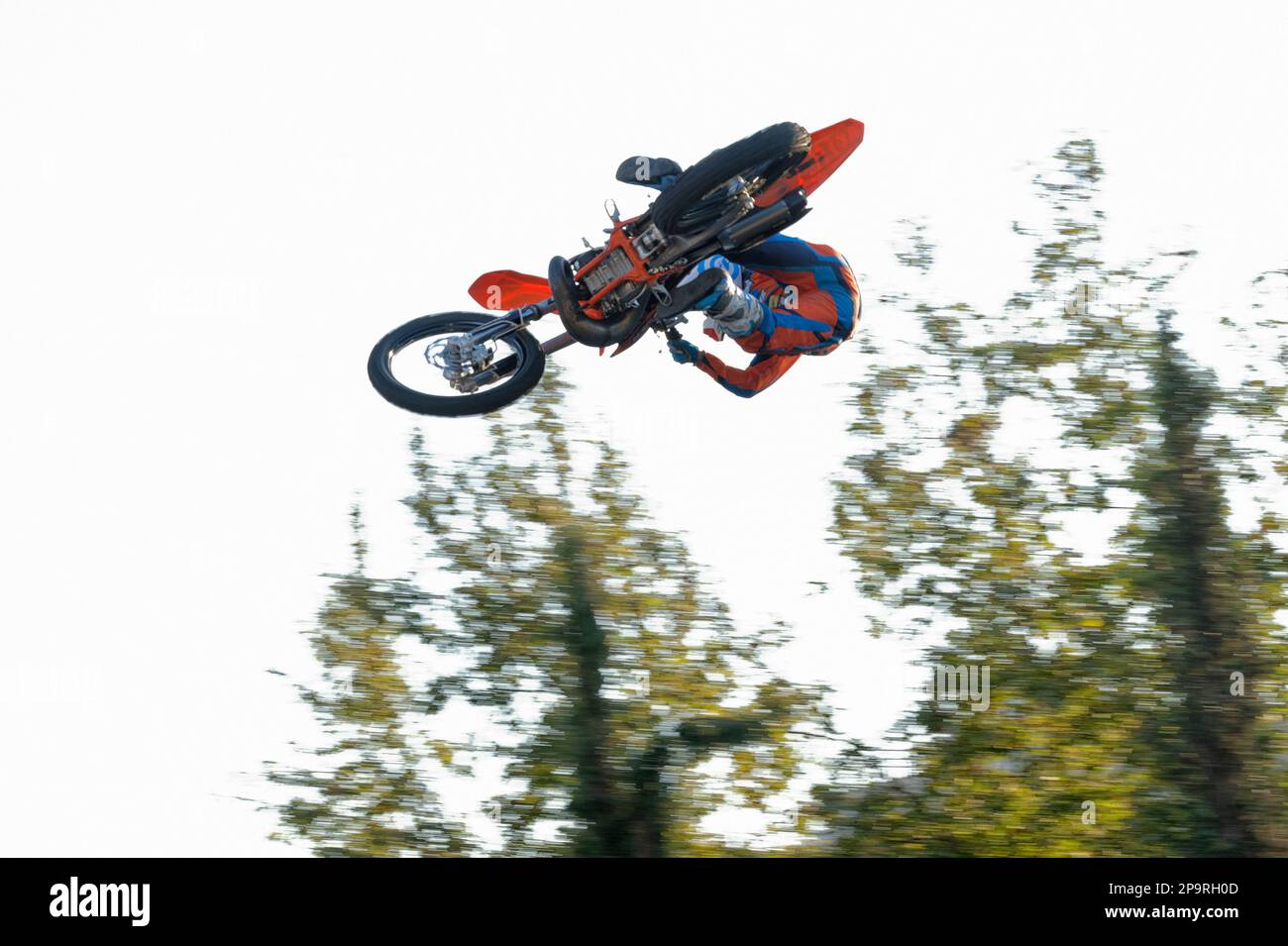 Motocross MX Freestyle jump at tree tops level Stock Photo - Alamy