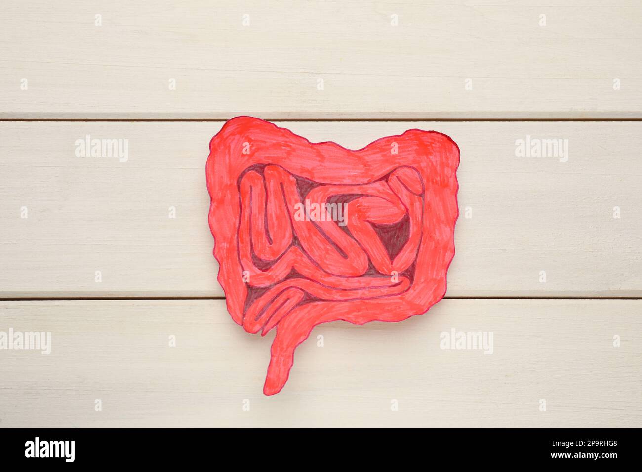 Small and large intestine inflammation hi-res stock photography and ...