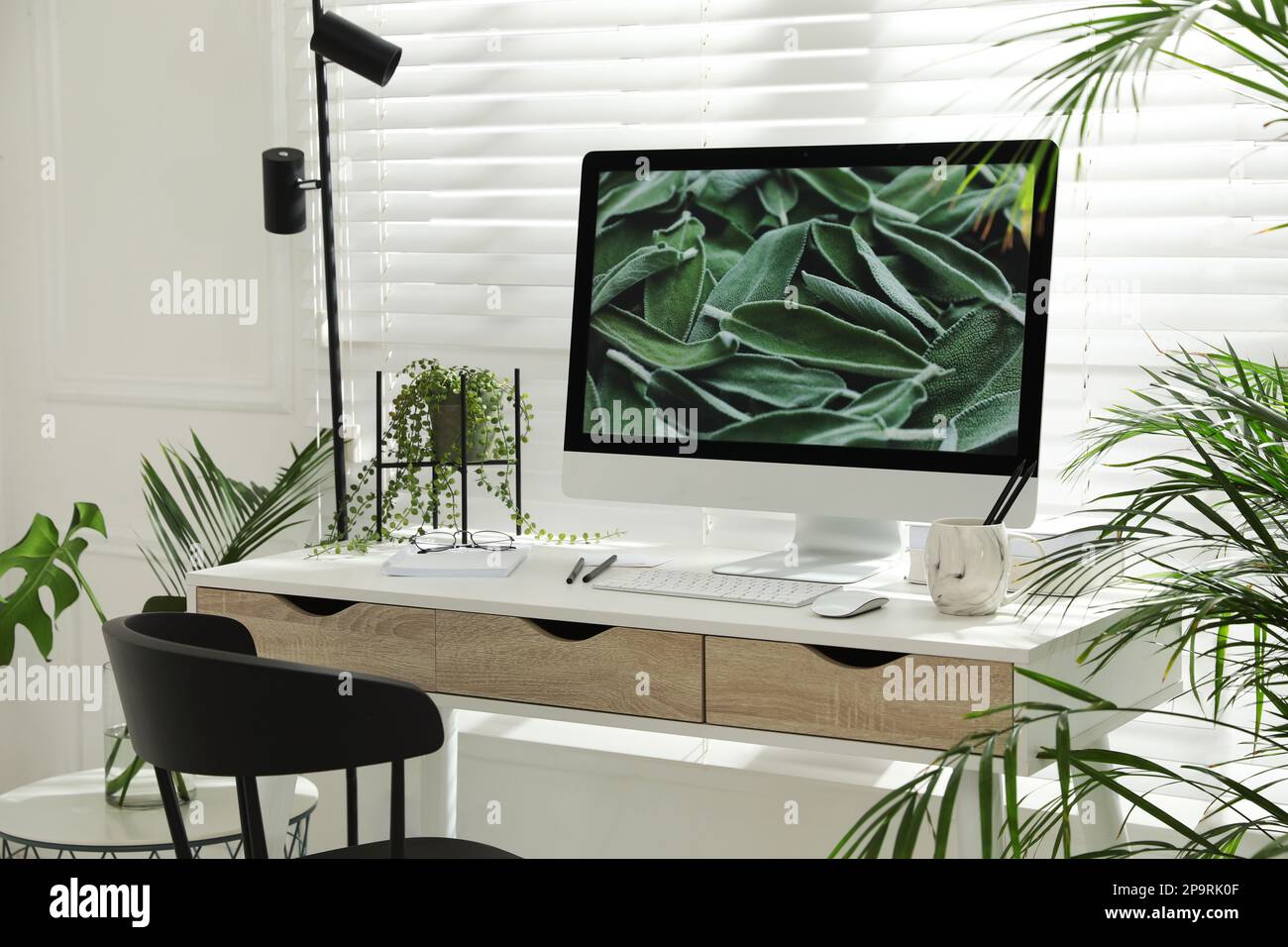Comfortable workplace with modern computer and green plants in room ...