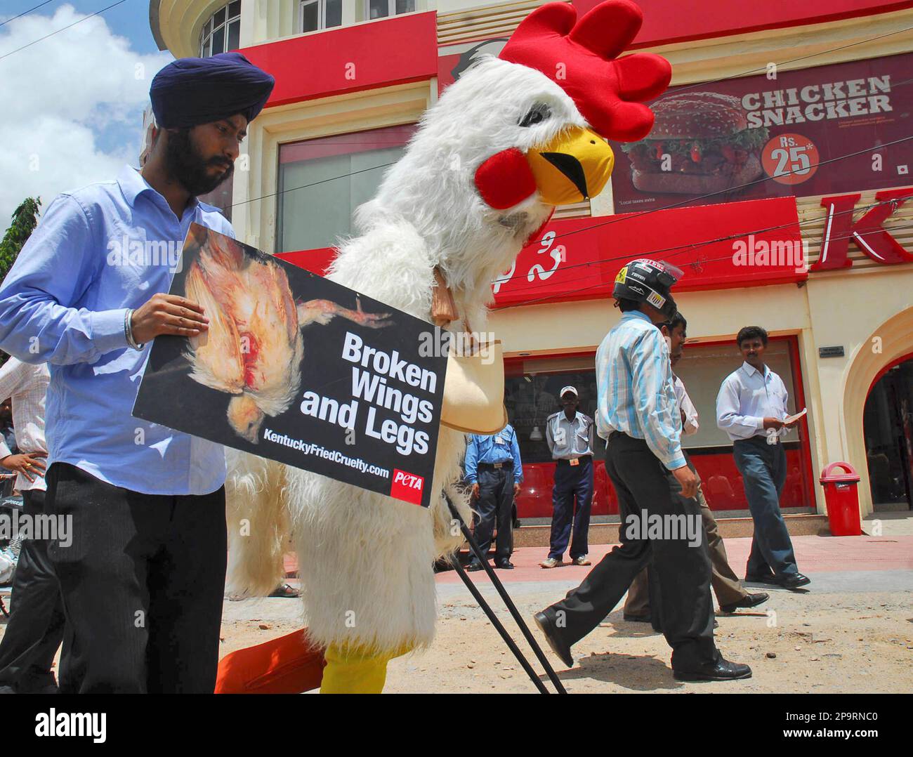 Kfc Chicken Cruelty