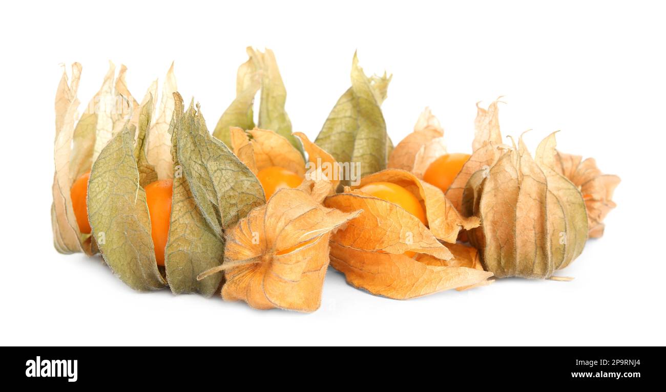 Ripe physalis fruits with dry husk on white background Stock Photo - Alamy