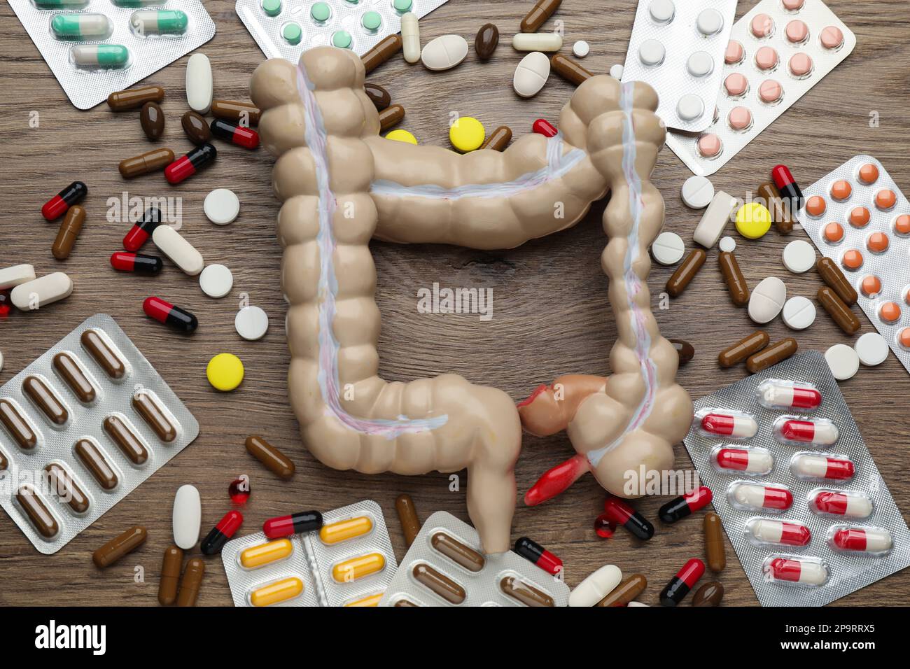 Anatomical model of large intestine and many different pills on wooden ...