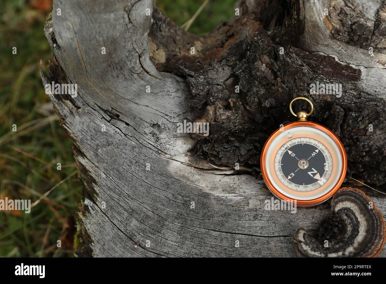 Text navigation hi-res stock photography and images - Alamy