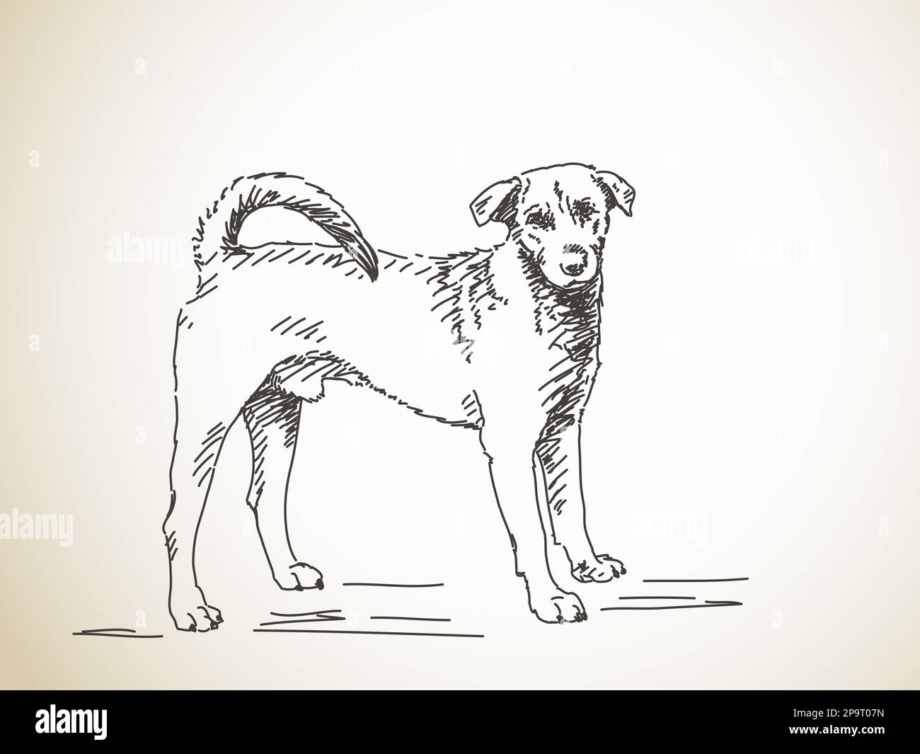 Sketch of dog. Hand drawn illustration. Isolated Stock Vector Image ...