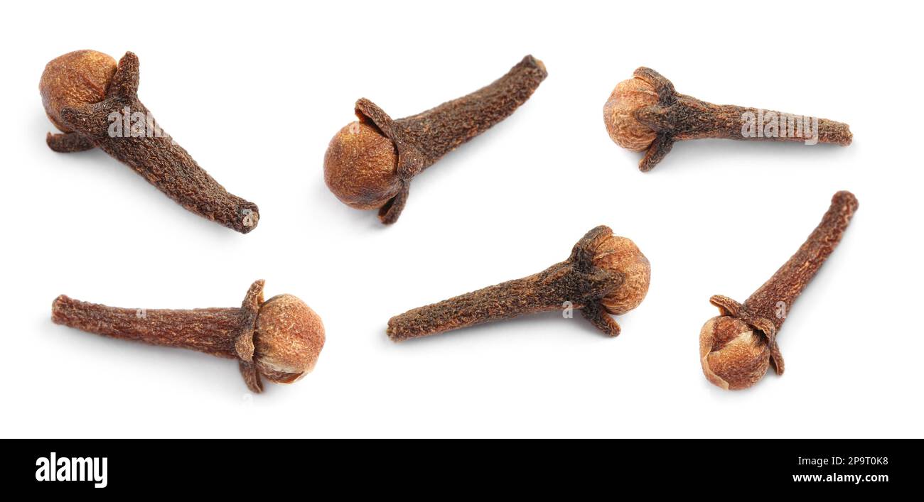 Set with aromatic dried cloves on white background. Banner design Stock ...
