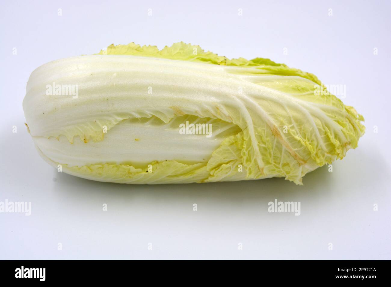 A large cabbage, Peking cabbage located on a white background. Healthy ...