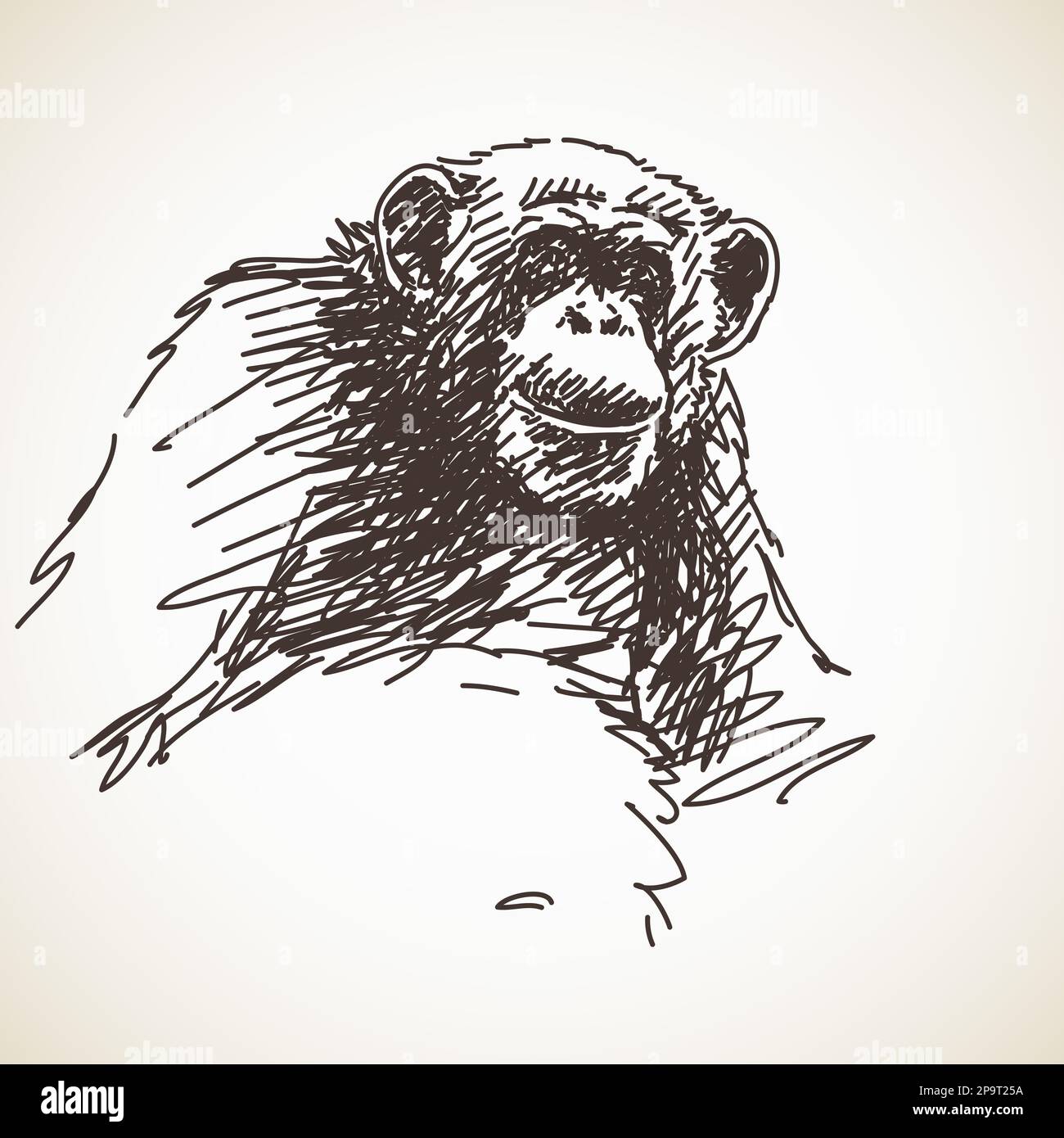 Sketch of chimpanzee, Hand drawn vector illustration Stock Vector Image ...