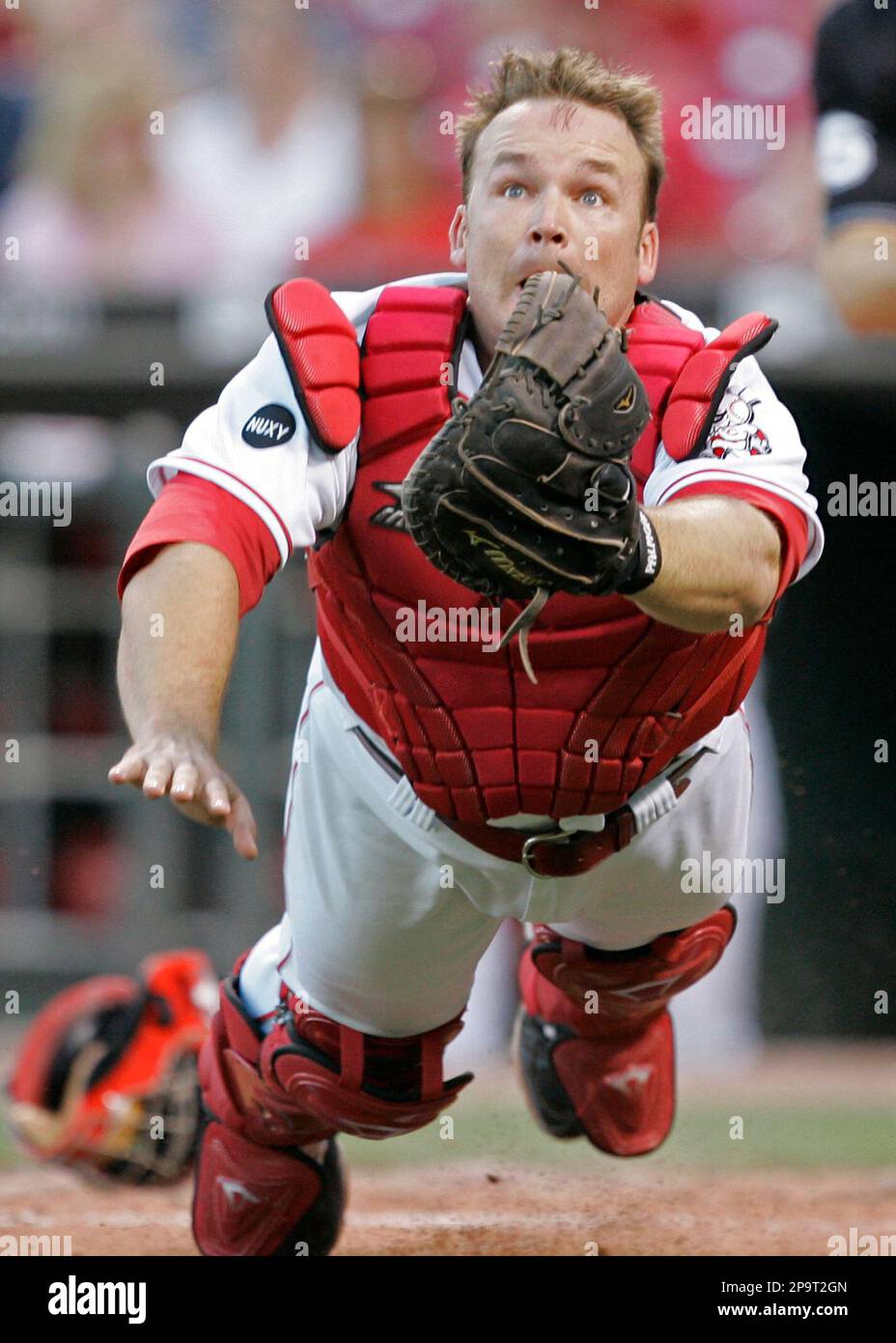 Cincinnati Reds catcher David Ross dives for a pop foul bunt by Houston ...