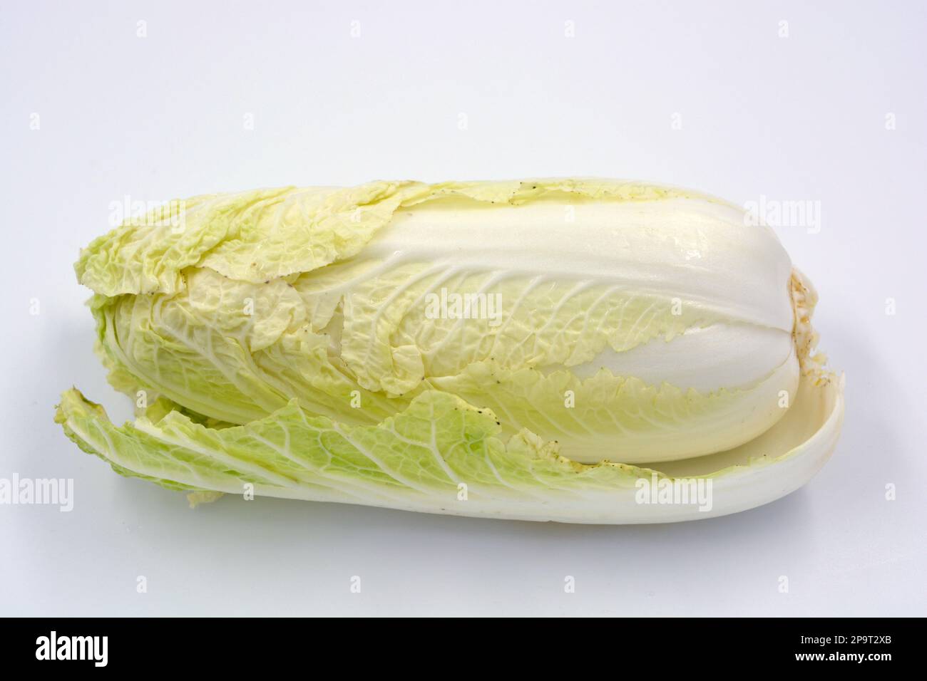 A large cabbage, Peking cabbage located on a white background. Healthy ...