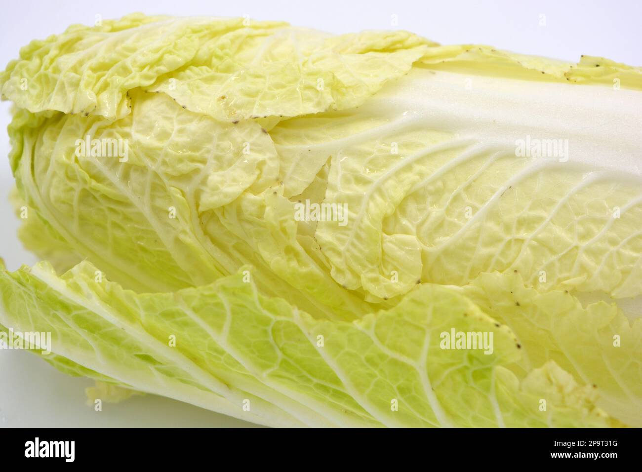 A large cabbage, Peking cabbage located on a white background. Healthy ...