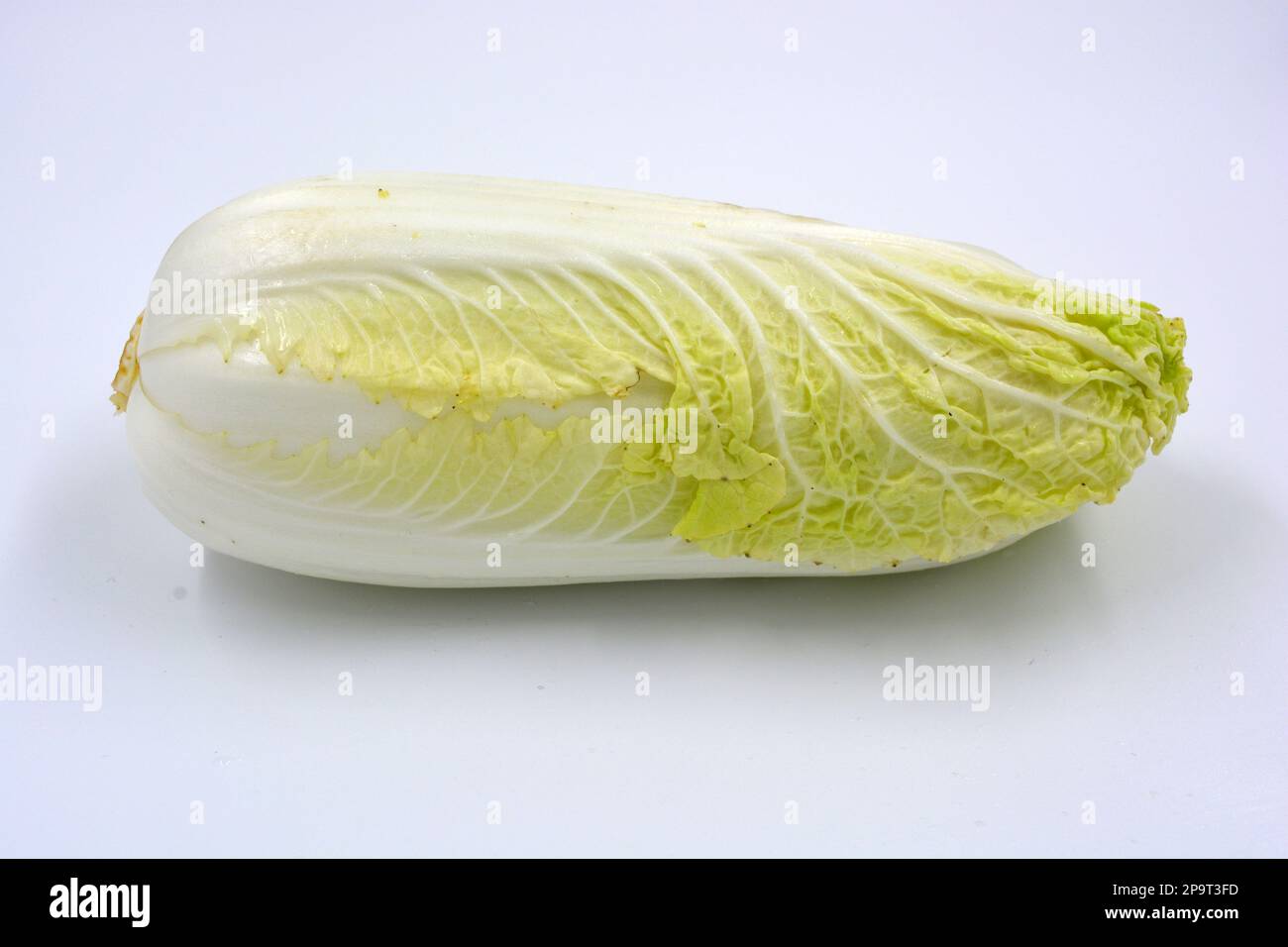 A large cabbage, Peking cabbage located on a white background. Healthy ...