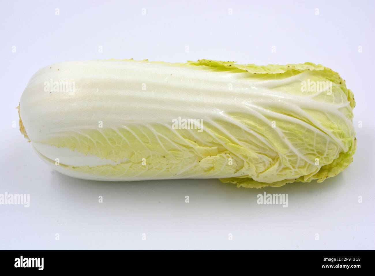 A large cabbage, Peking cabbage located on a white background. Healthy ...