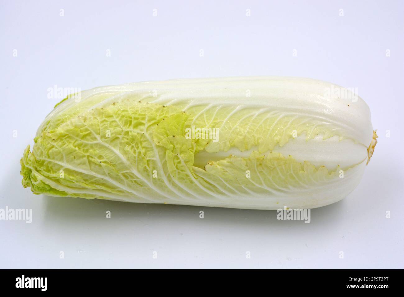 A large cabbage, Peking cabbage located on a white background. Healthy ...