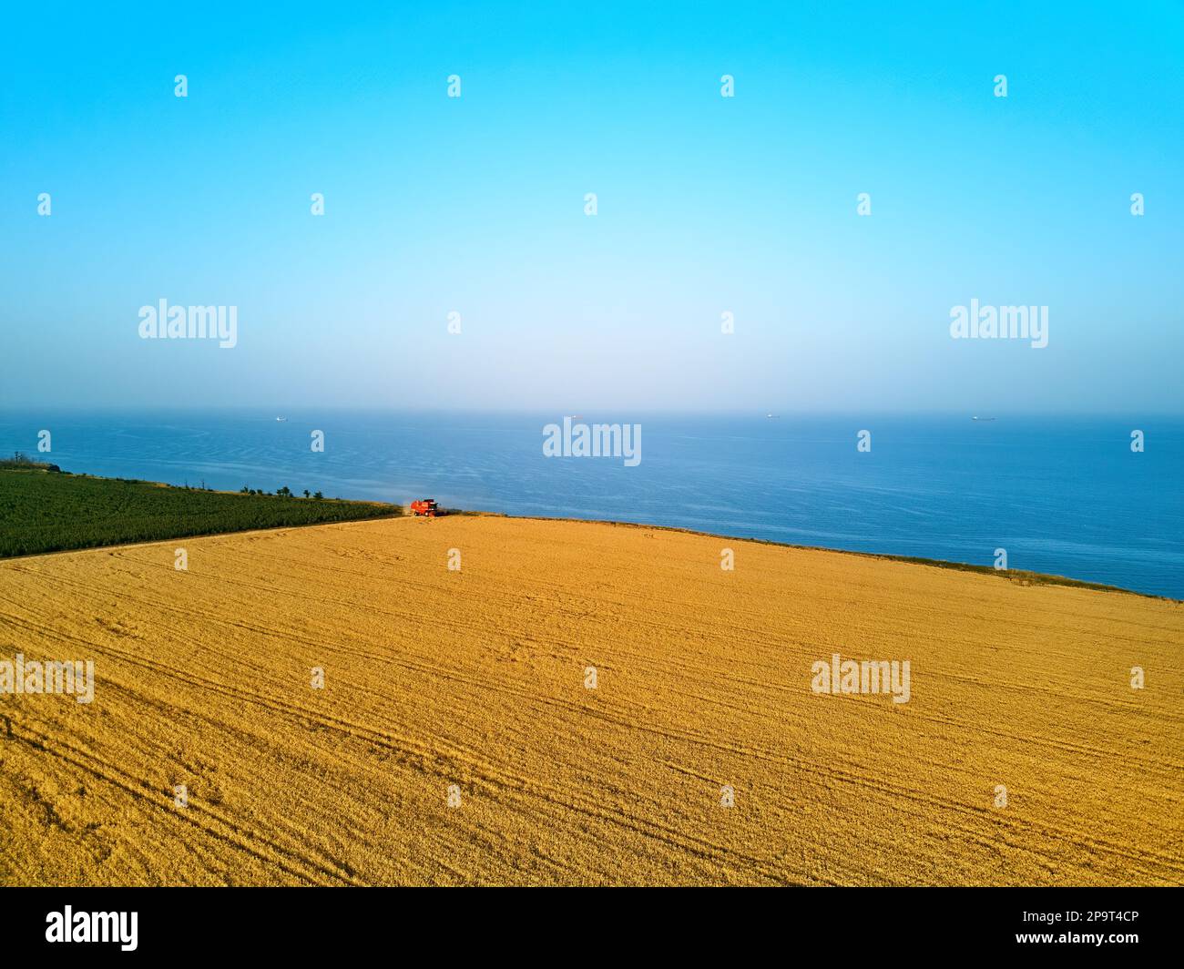 Aerial of red combine harvester working in wheat field near cliff with ...