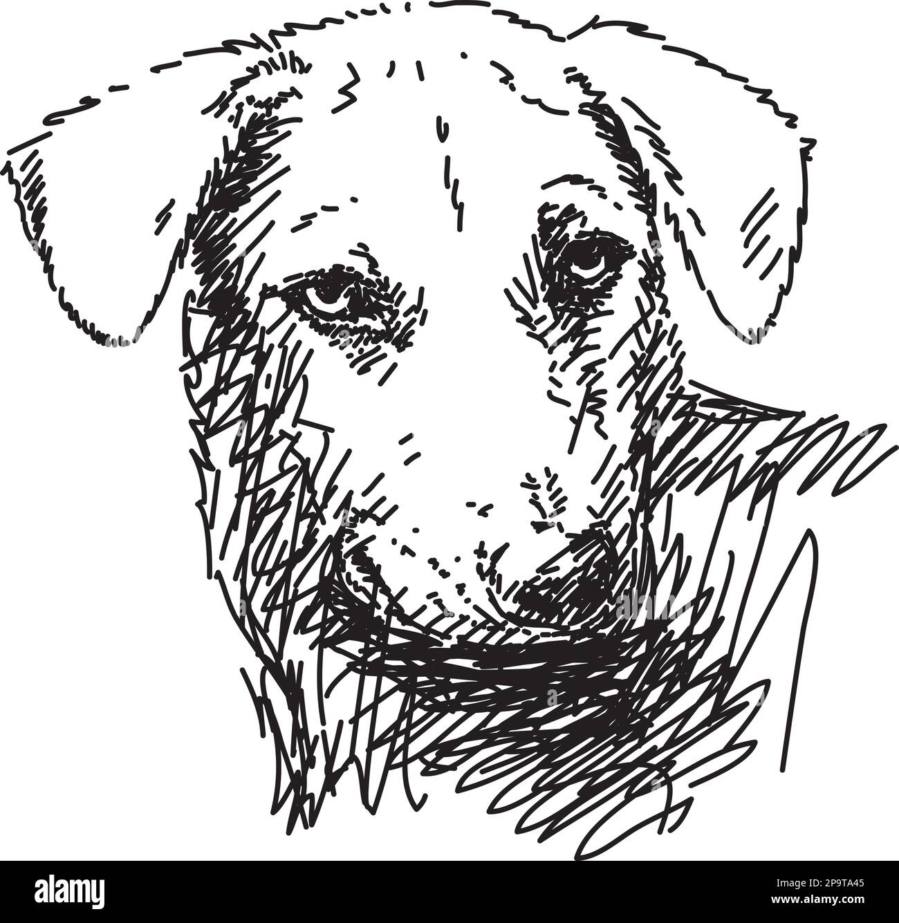 Sketch of dog portrait Hand drawn vector illustration Stock Vector ...