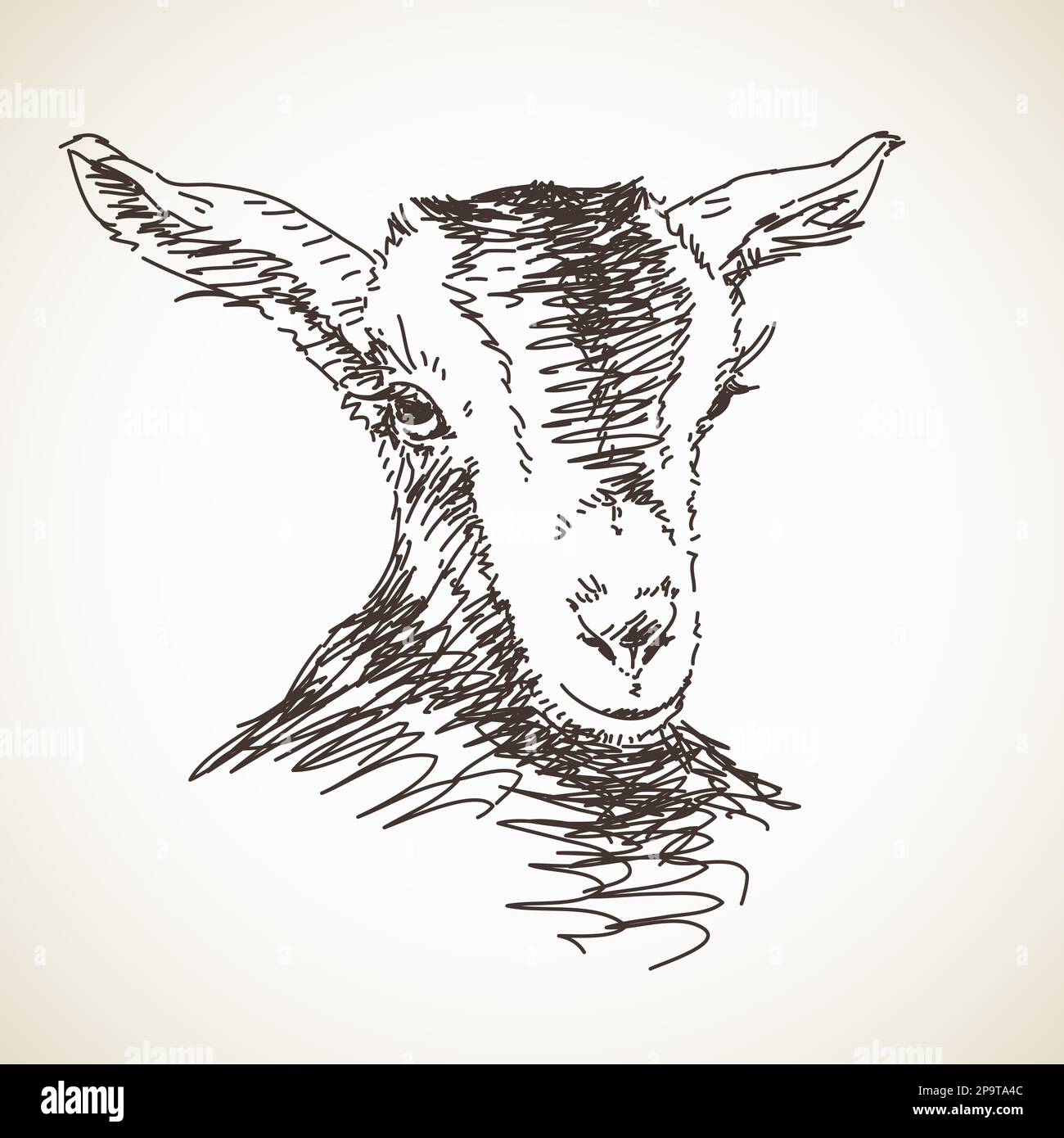 Sketch of goatling. Hand drawn illustration. Isolated Stock Vector ...
