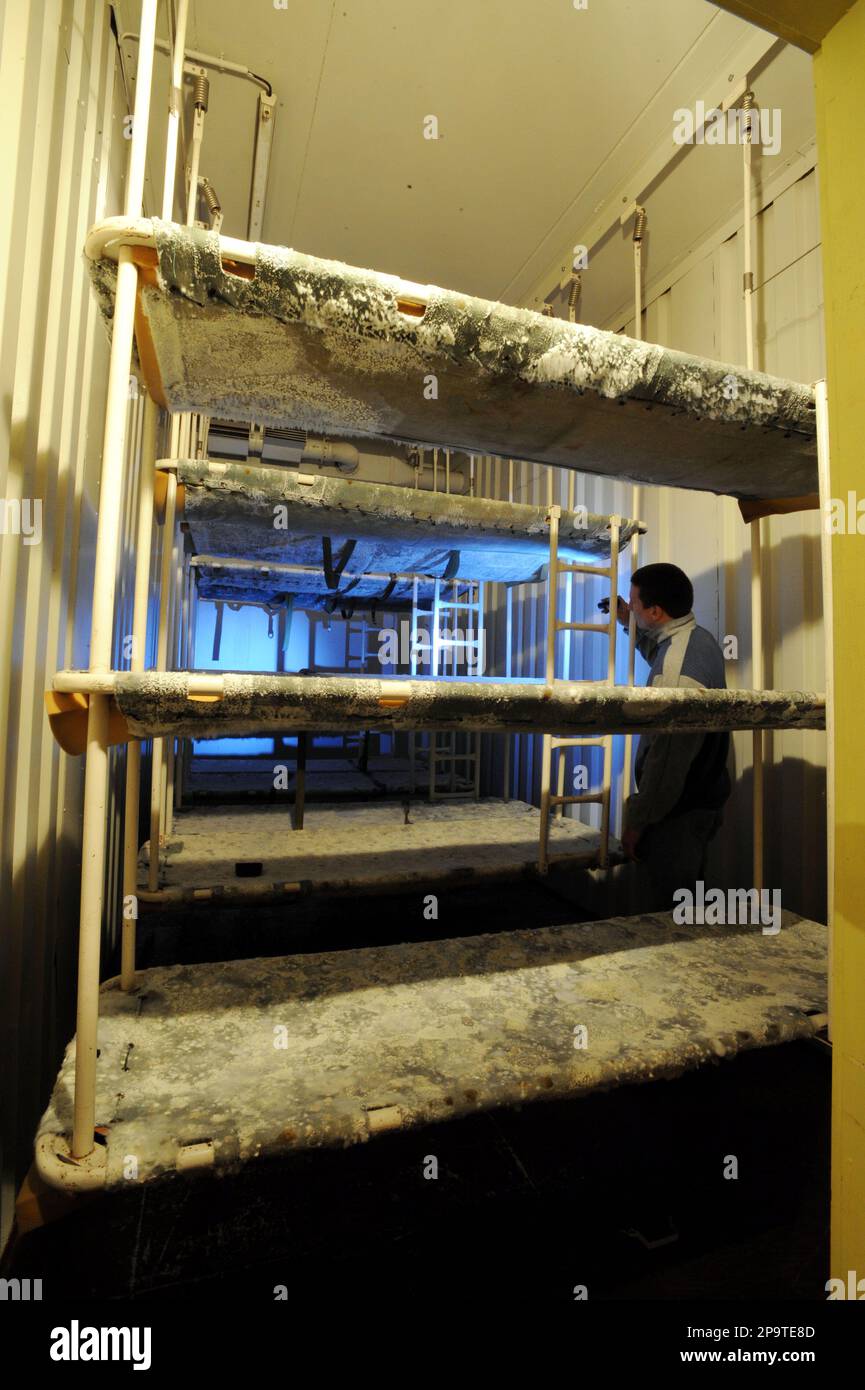 Hannes Hensel a worker with the Berlin Bunker Network views the mould ...