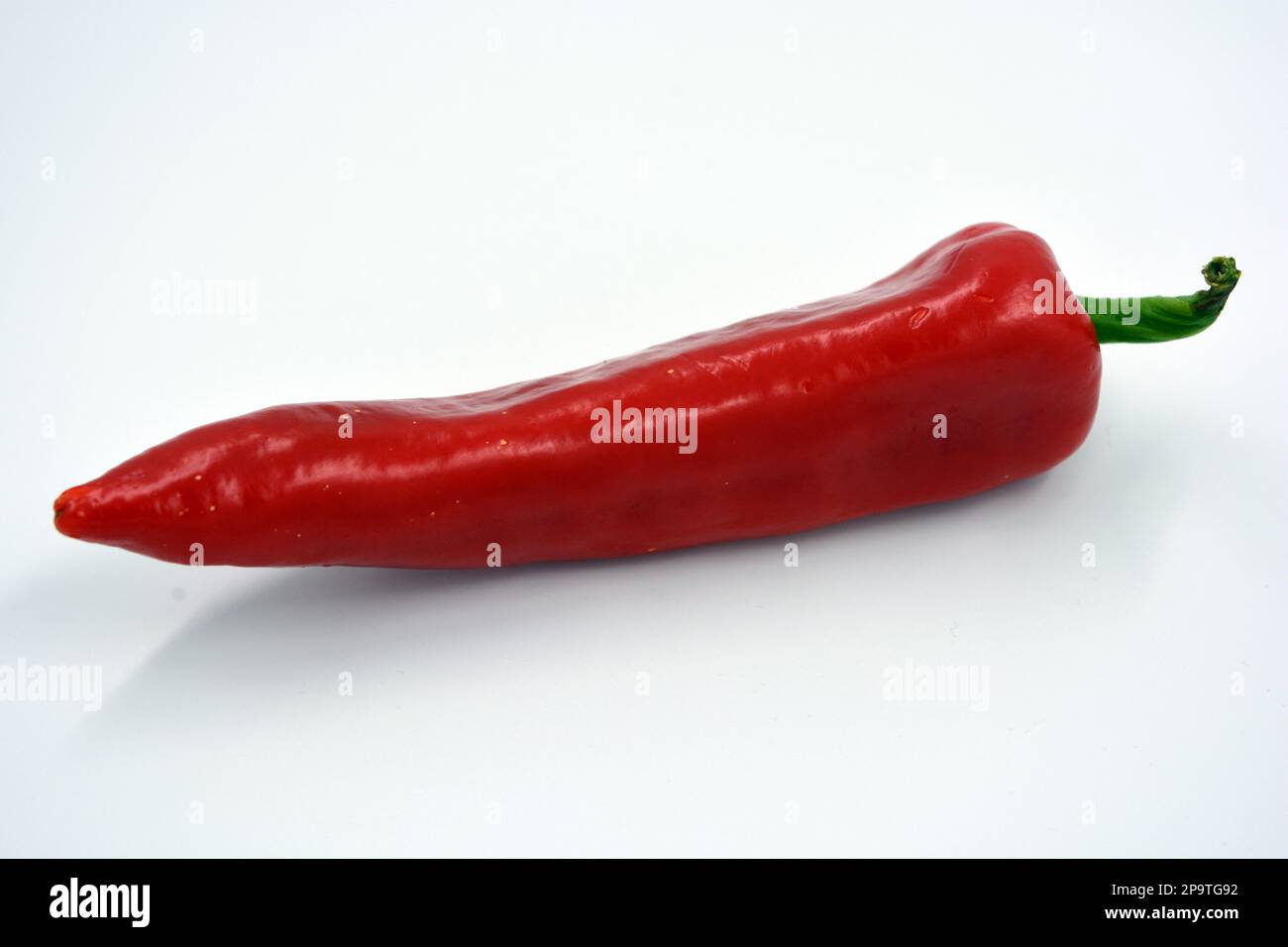 Bright fresh vegetables, sweet paprika, bright red large pepper is ...