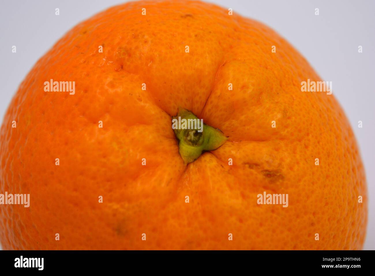 Delicious and healthy ripe fruits, one large orange sweet orange ...