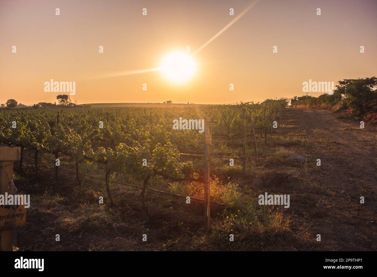 Beautiful sunset and sunrise hi-res stock photography and images - Alamy