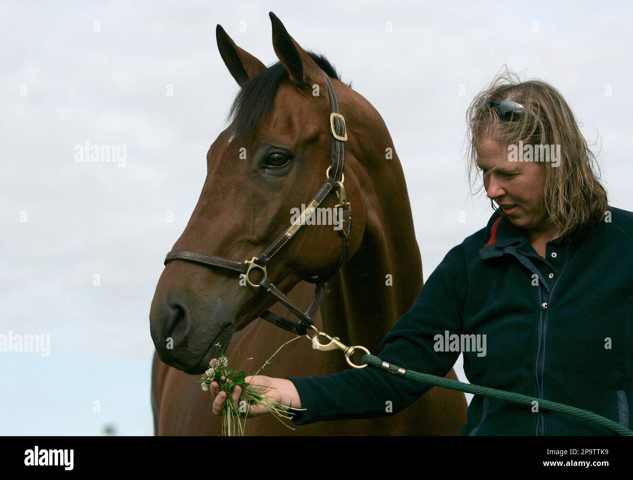 Amy Tryon feeds her horse Poggio II at a farm near Cherington, England ...