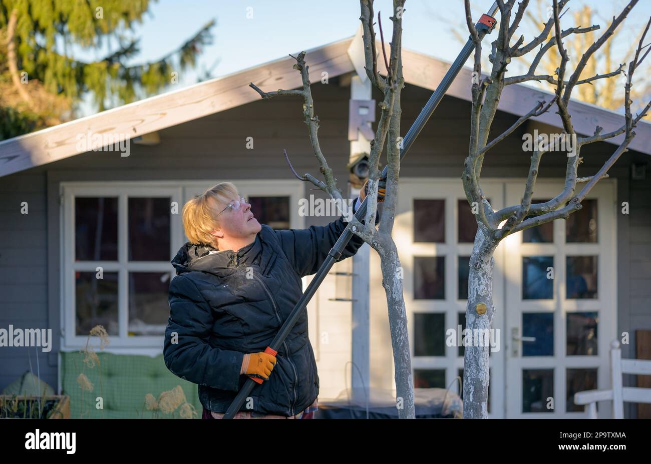 Older woman pruning a tree hi-res stock photography and images - Alamy