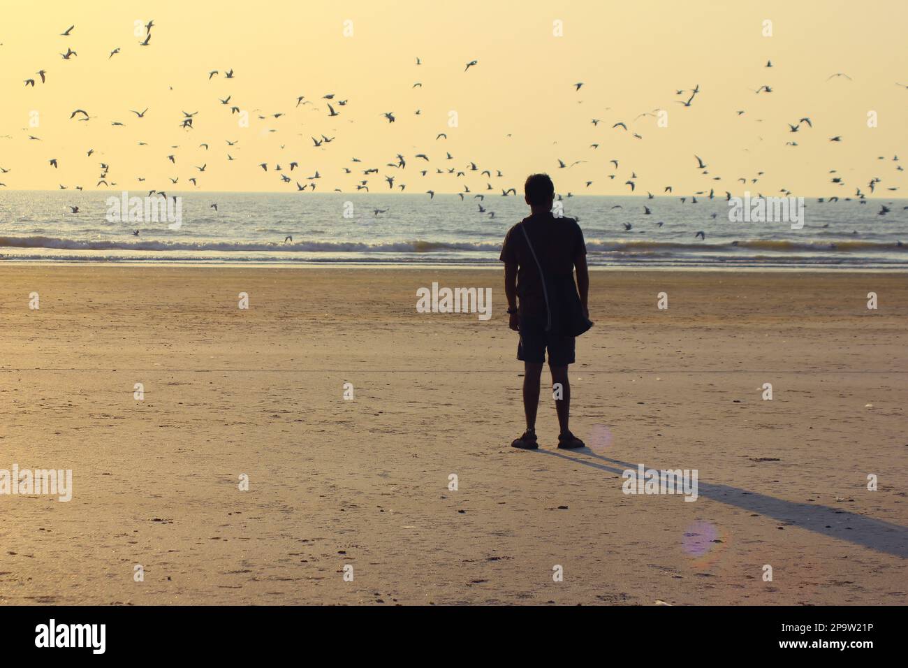 A Lonely Person