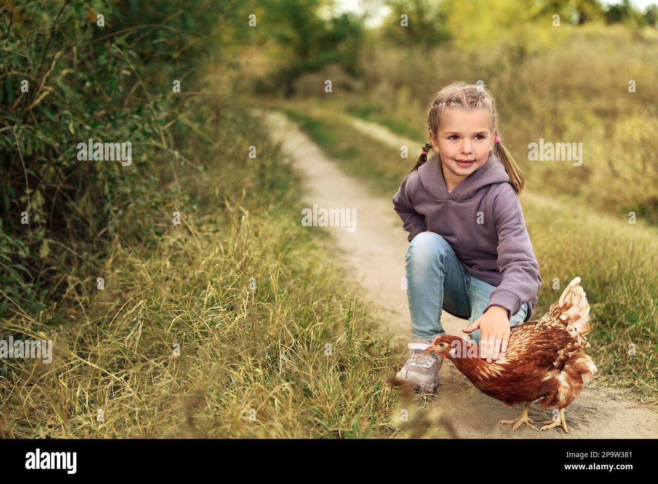 Farm animal. Cute little girl with chicken in countryside, space for ...