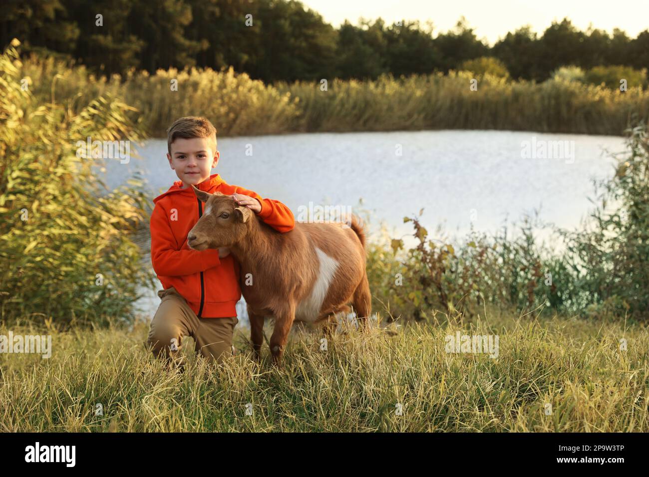Farm animal. Cute little boy with goat on pasture near pond, space for ...