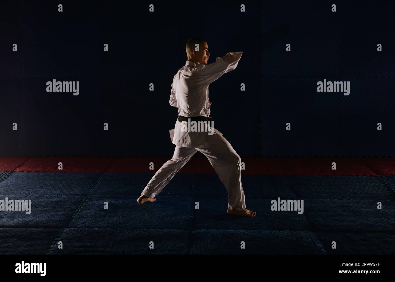 Silhouette of a handsome karatist doing Age Uke pose at the karate ...