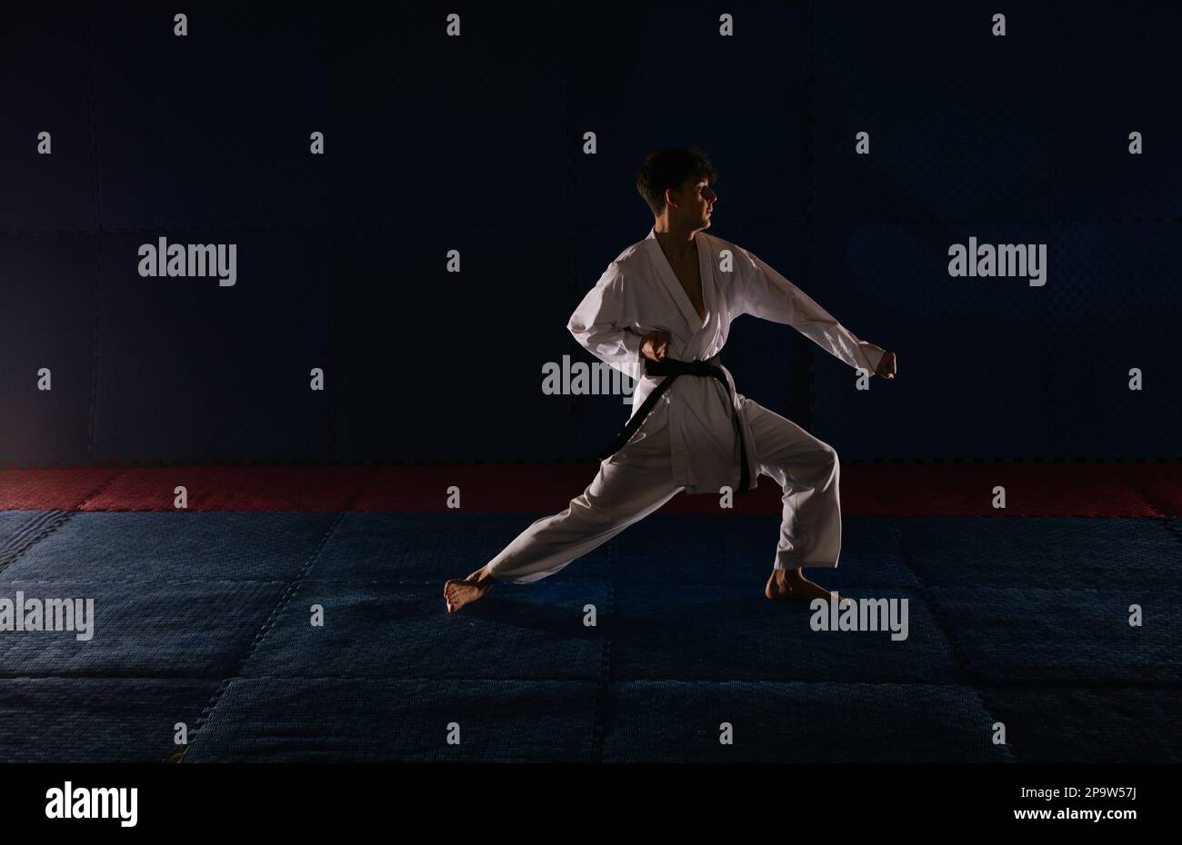 Zenkutsu dachi hi-res stock photography and images - Alamy