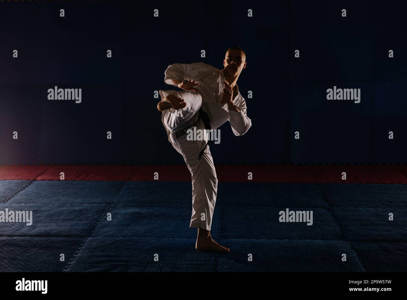 Silhouette of a young karatist with black belt doing Mae Geri at the ...