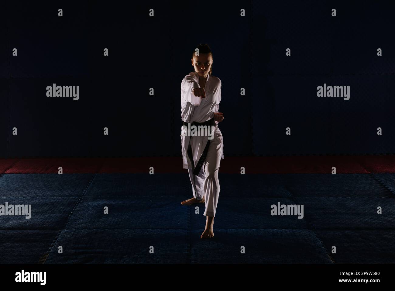 Silhouette of a good looking karatist girl doing the Gyaku tsuki pose ...