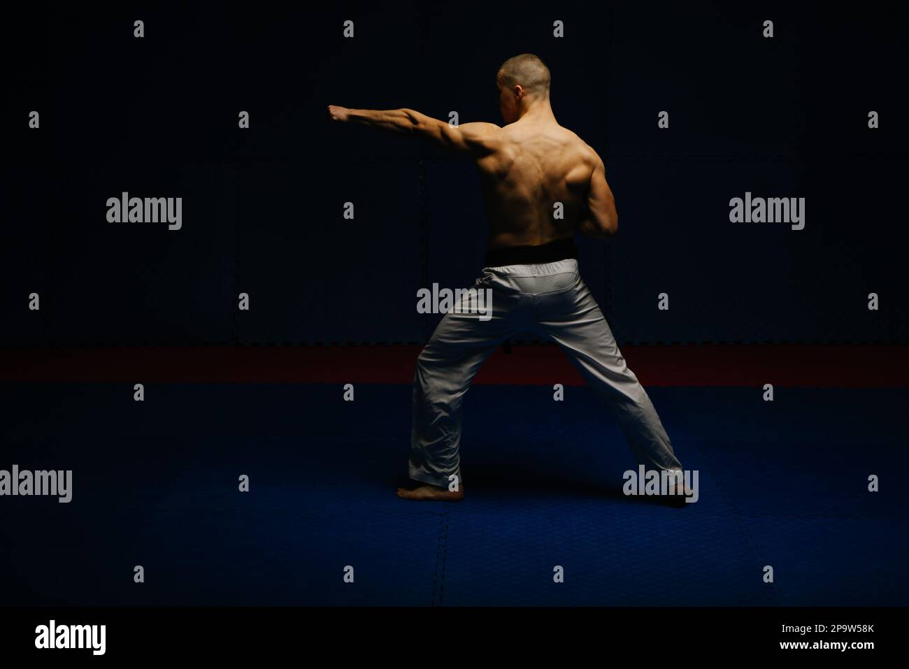 Good looking young karatist doing the Kizami tsuki pose at the karate ...