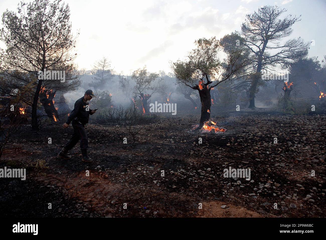 Firefighter walk across scorched earth as olive trees continue to burn ...
