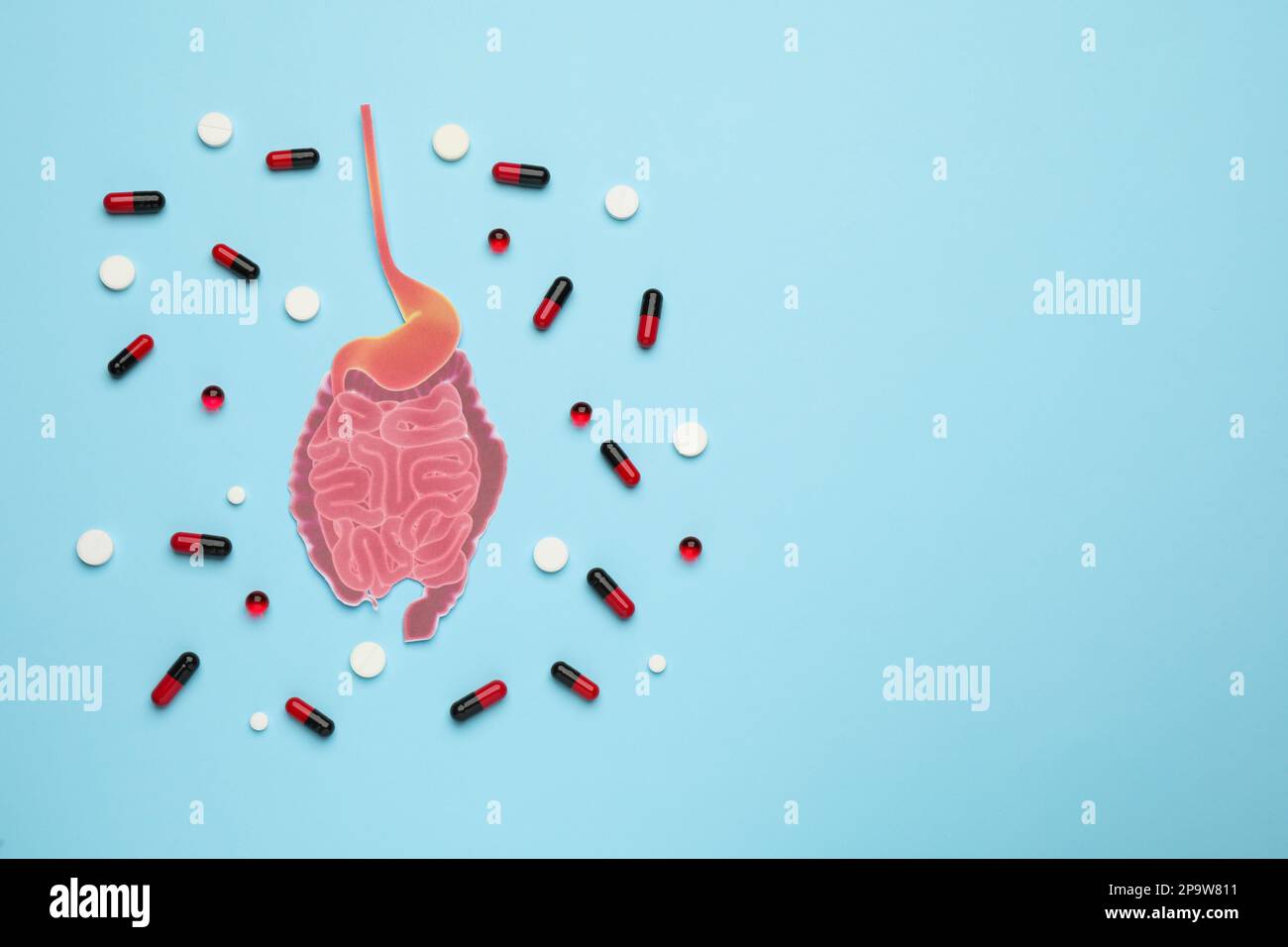 Paper cutout of small intestine and pills on light blue background ...