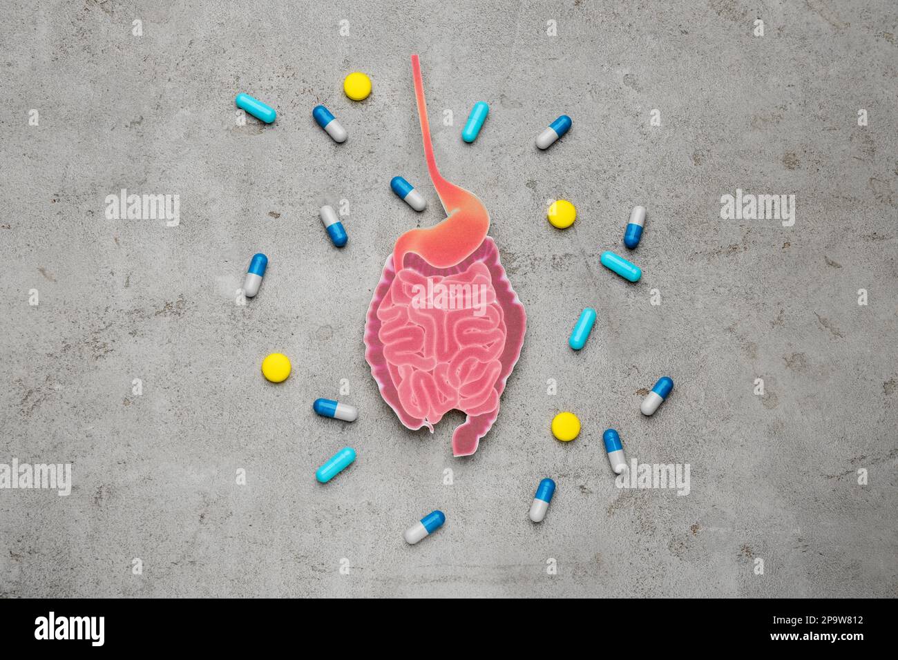 Paper cutout of small intestine and pills on light grey background ...