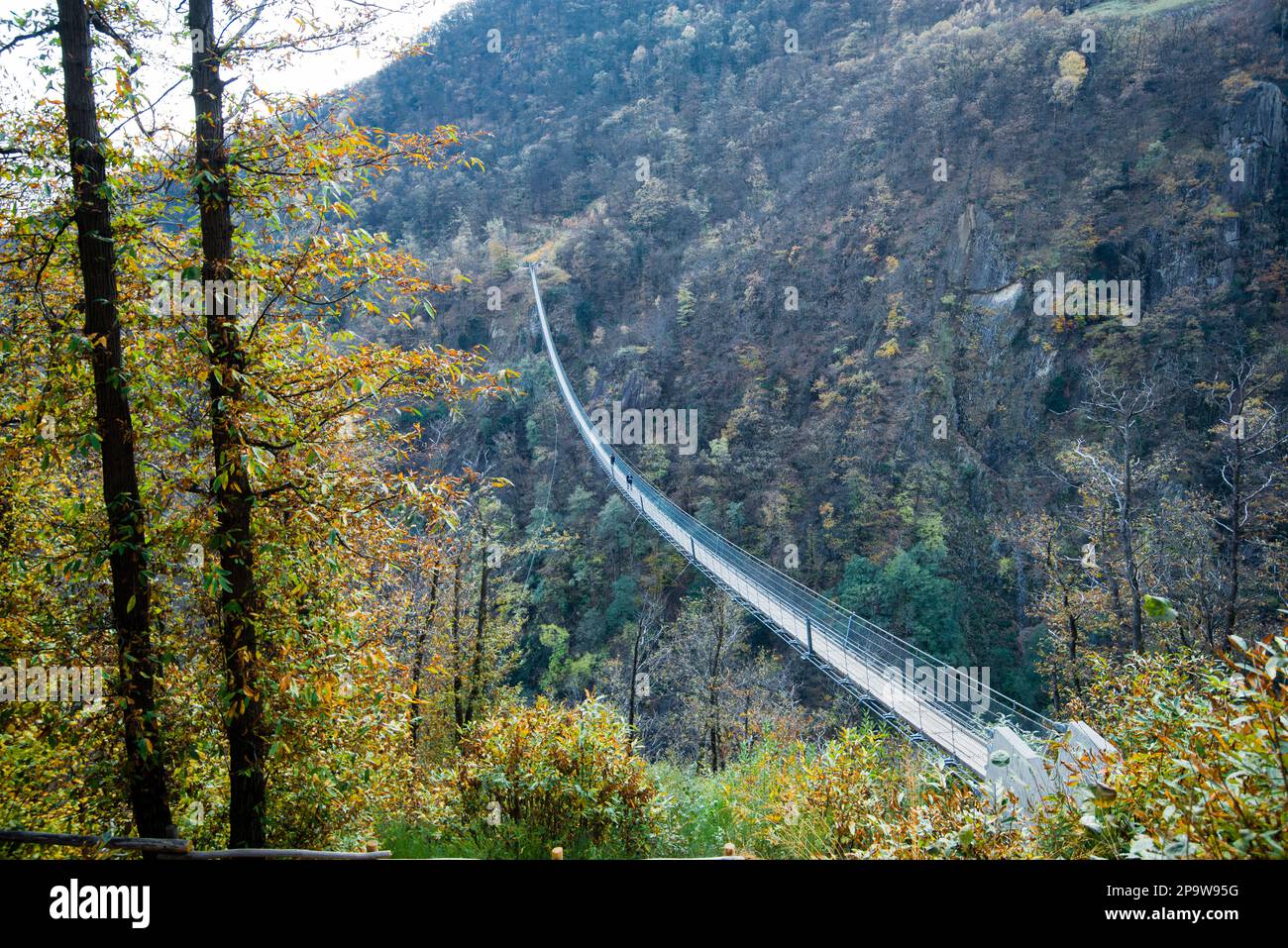 Unforgettable, breathtaking hike to this 270 m long Tibetan suspension ...
