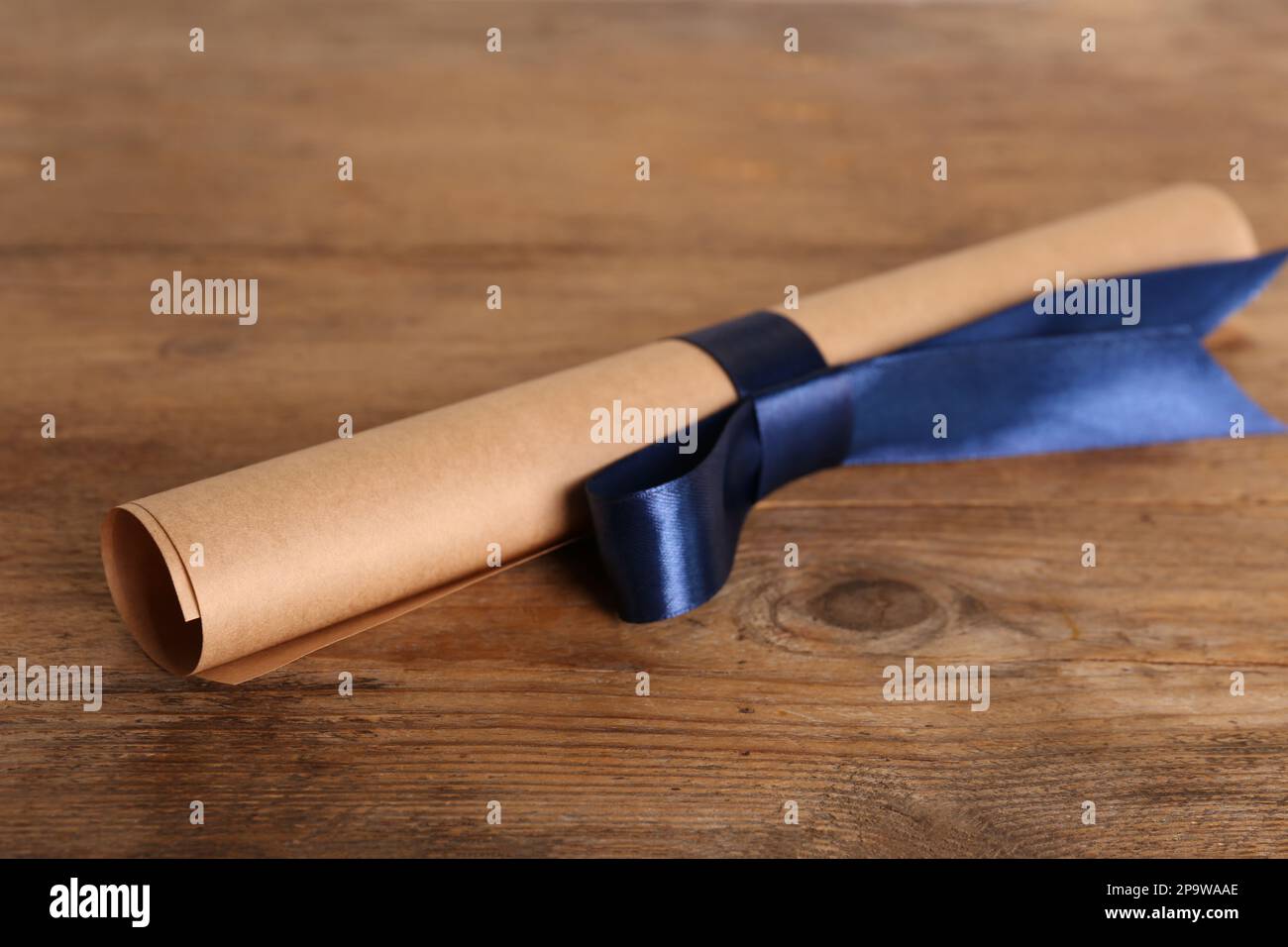 Rolled Diploma Blue Ribbon