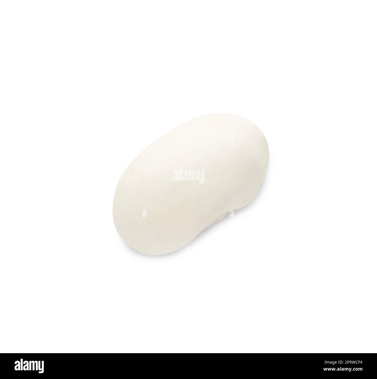 One uncooked navy bean isolated on white Stock Photo - Alamy